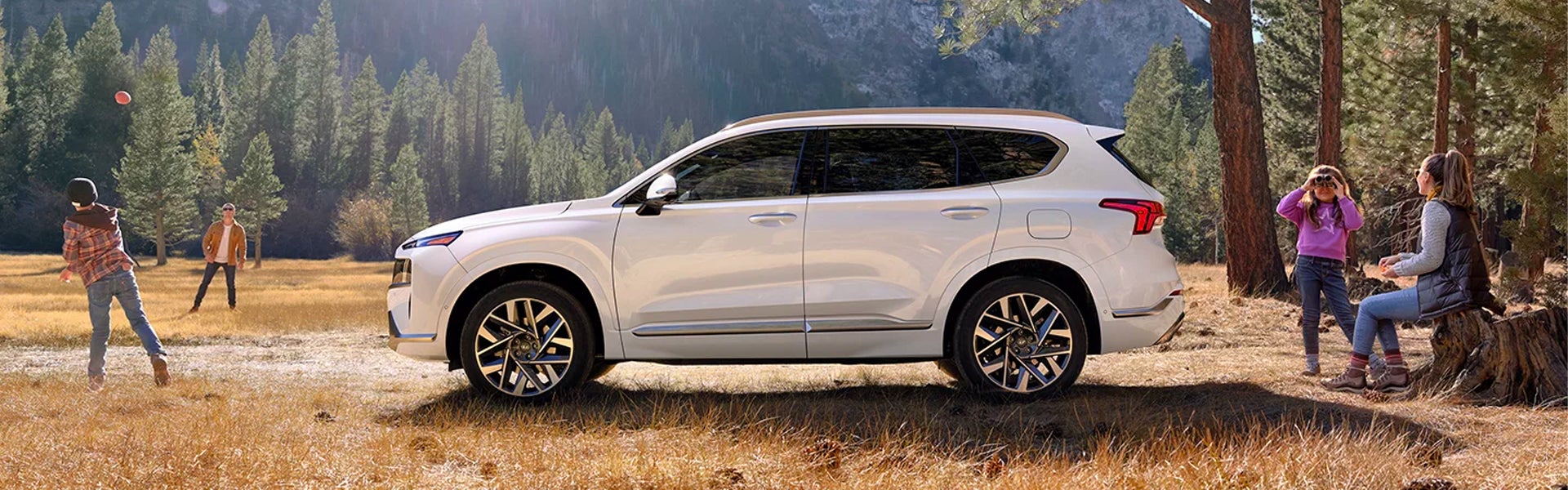 Make the New Hyundai Santa Fe Your Next Family Ride - Fitzgerald ...